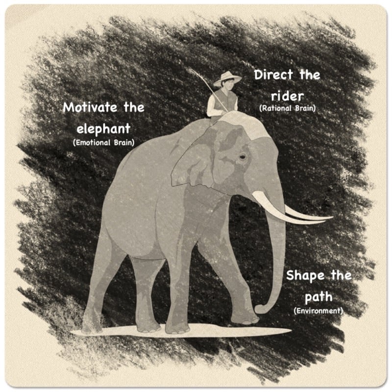 Maintaining Attention - Education | theCompleteMedic