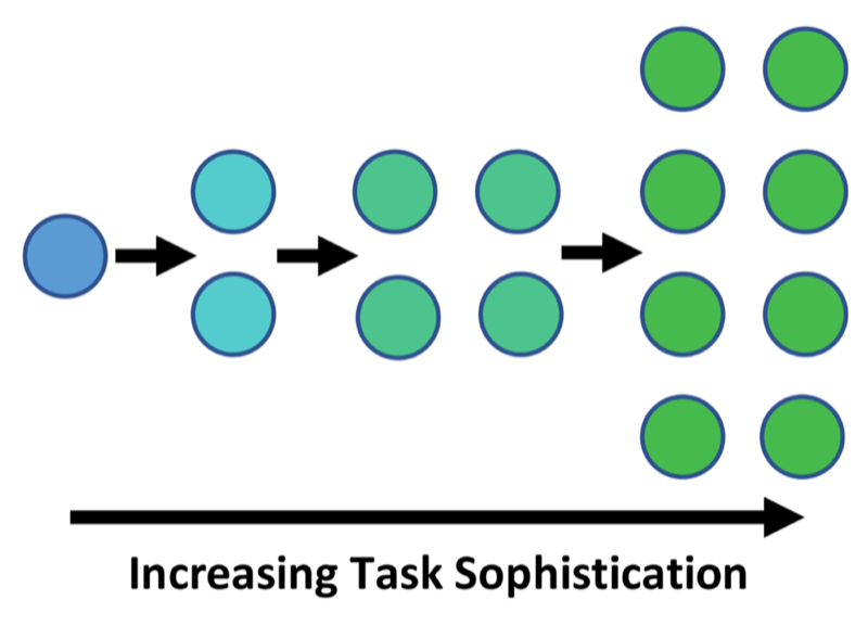 Small Group Work - Education | theCompleteMedic